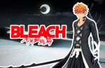 Vizard Store - Tienda Online de Figuras Anime